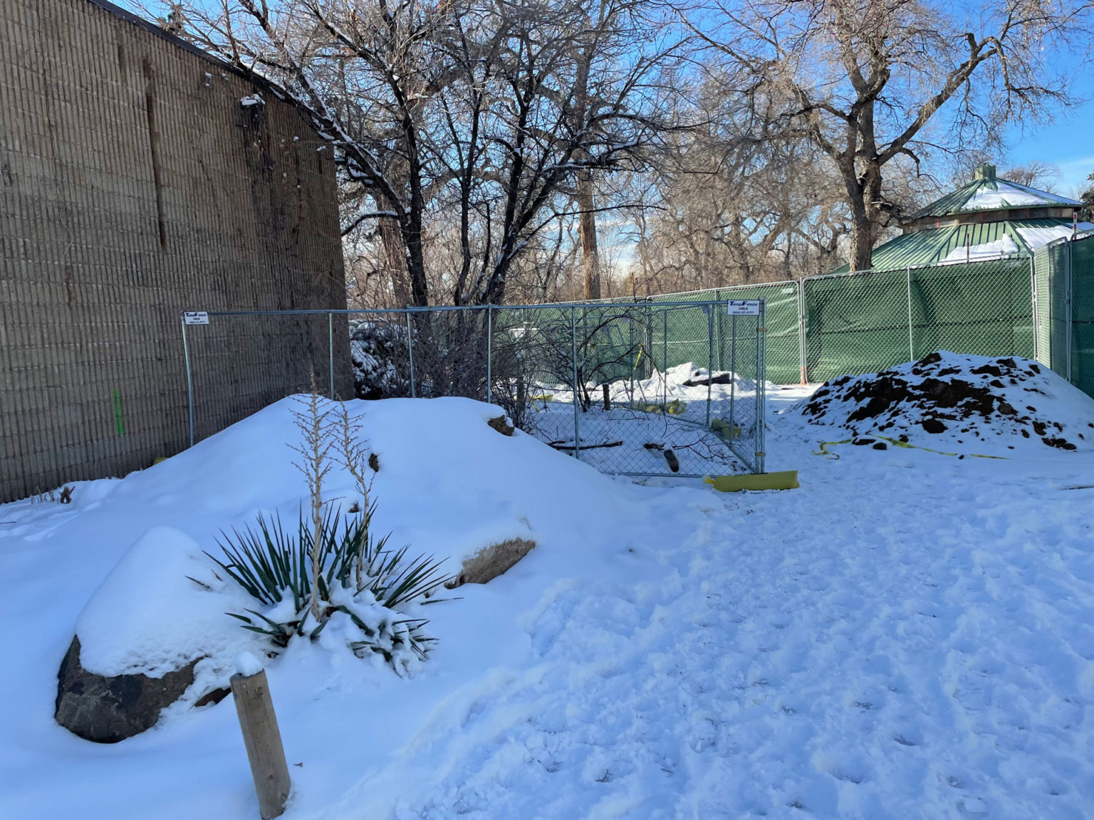 temp-fence-around-a-tree | Temp Fence USA